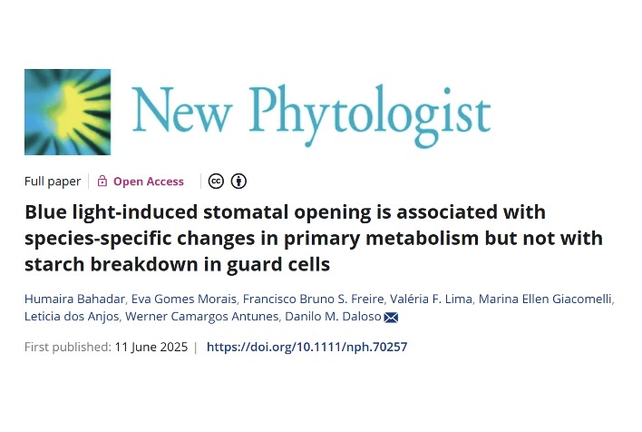 Blue light-induced stomatal opening is associated with species-specific ...
